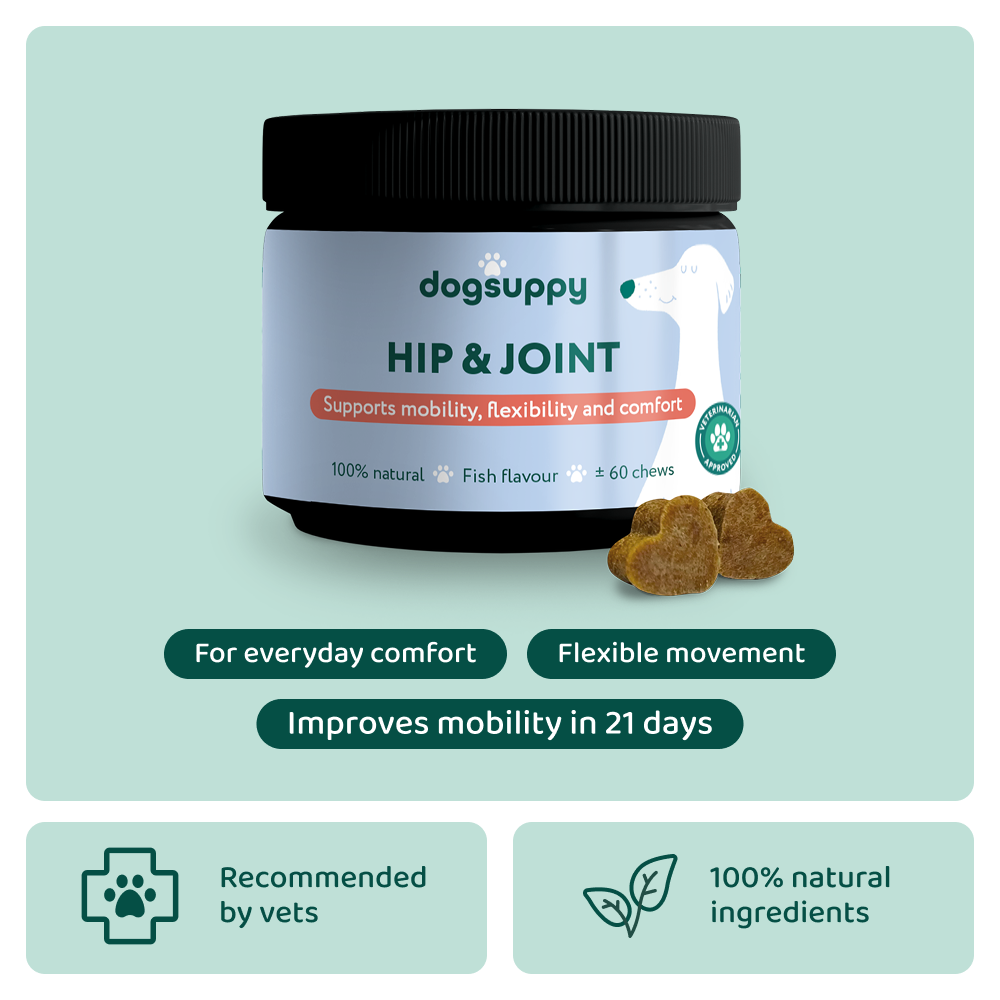 Hip & Joint 🌿 100% natural 🫙 60 soft chews